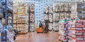 Rack Codes & Standards Archives - RMI Safety